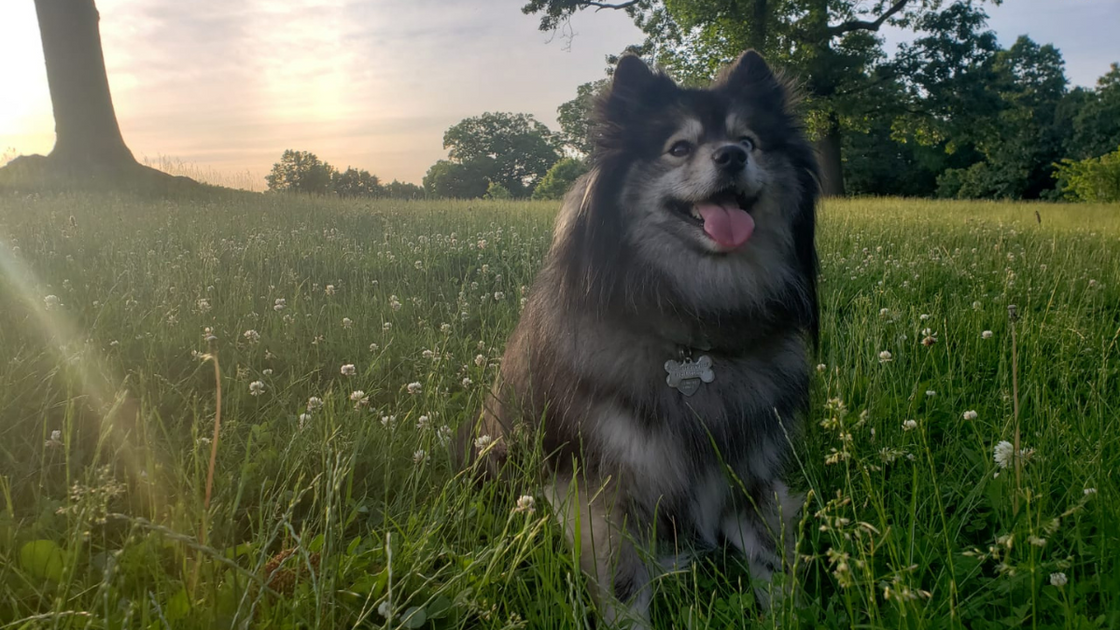 featured-blog-image-1200x675-1695152998722_1ddd2fa3-e3af-4397-8421 ...